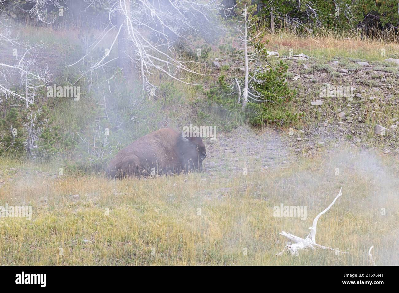 Yellowstone is a super volcano hi-res stock photography and images - Alamy