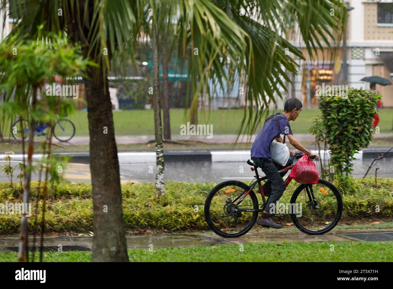 Singapore, Singapore, Singapore. 7th Nov, 2023. A man is seen cycling ...