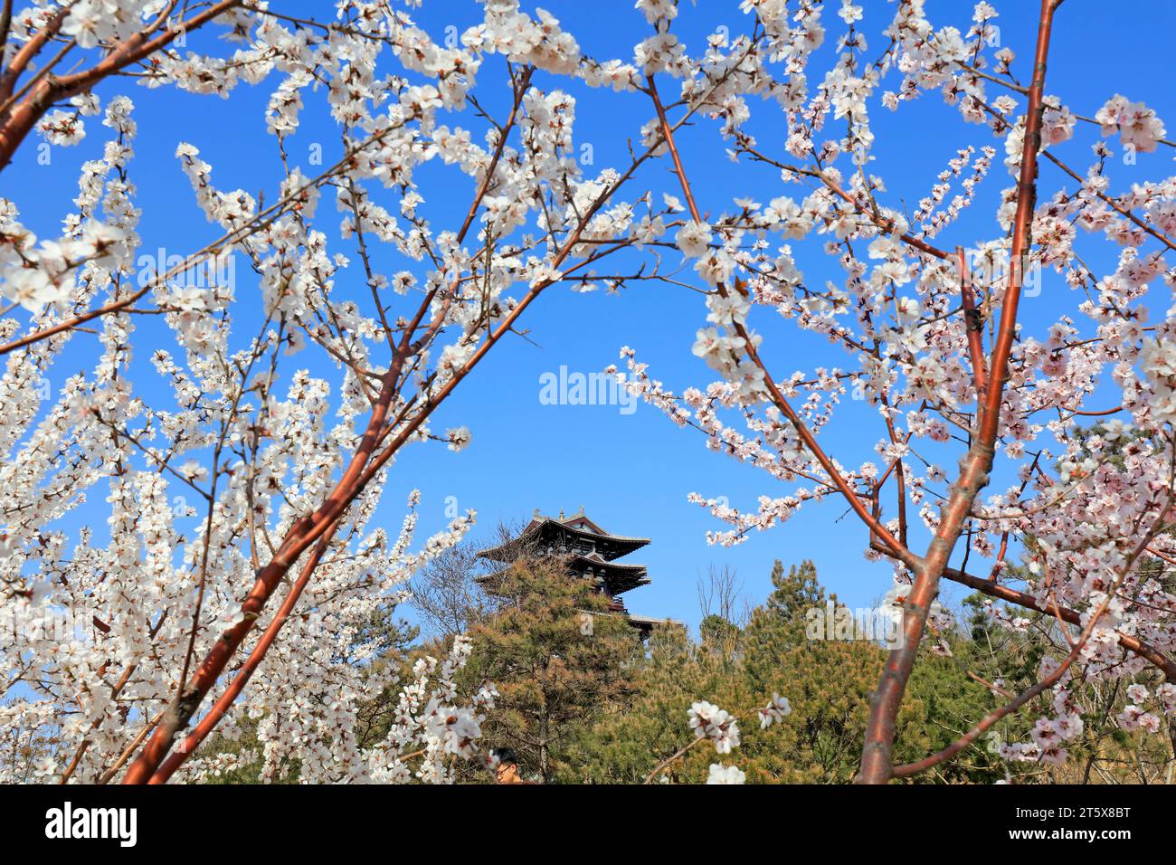 Park building scenery Stock Photo - Alamy