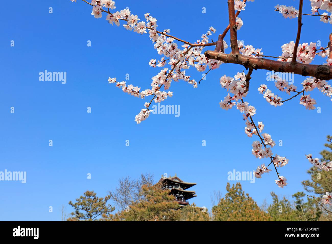 Park building scenery Stock Photo - Alamy