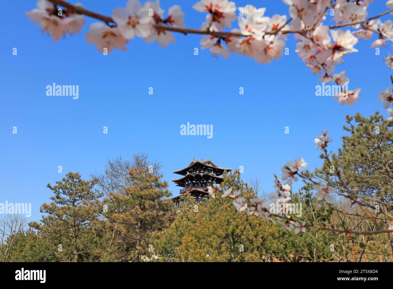 Park building scenery Stock Photo - Alamy