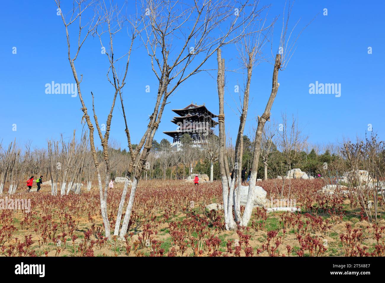 Park building scenery Stock Photo - Alamy