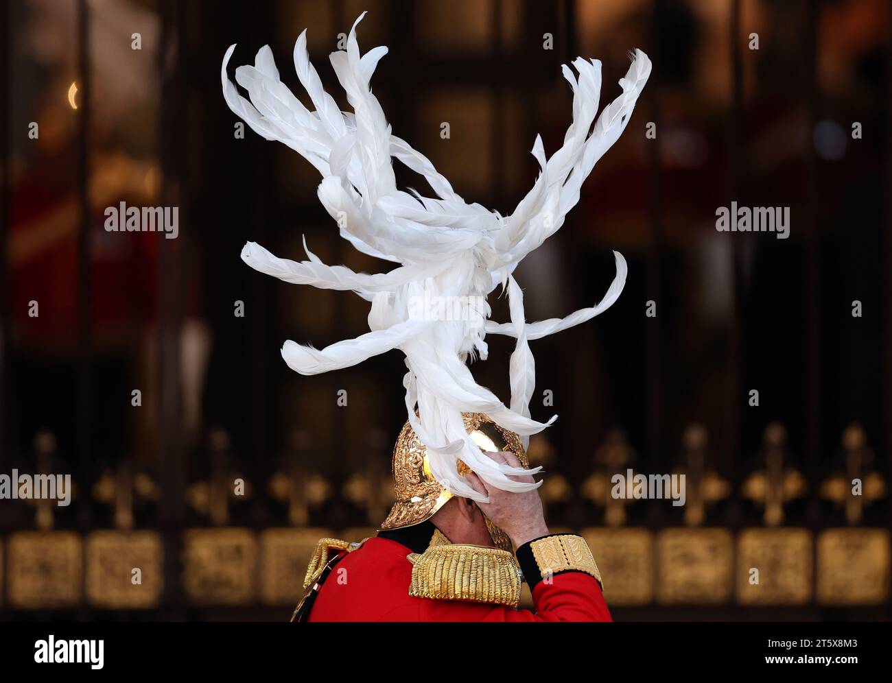 A member of the King's Body Guards of the Honourable Corps of Gentlemen ...