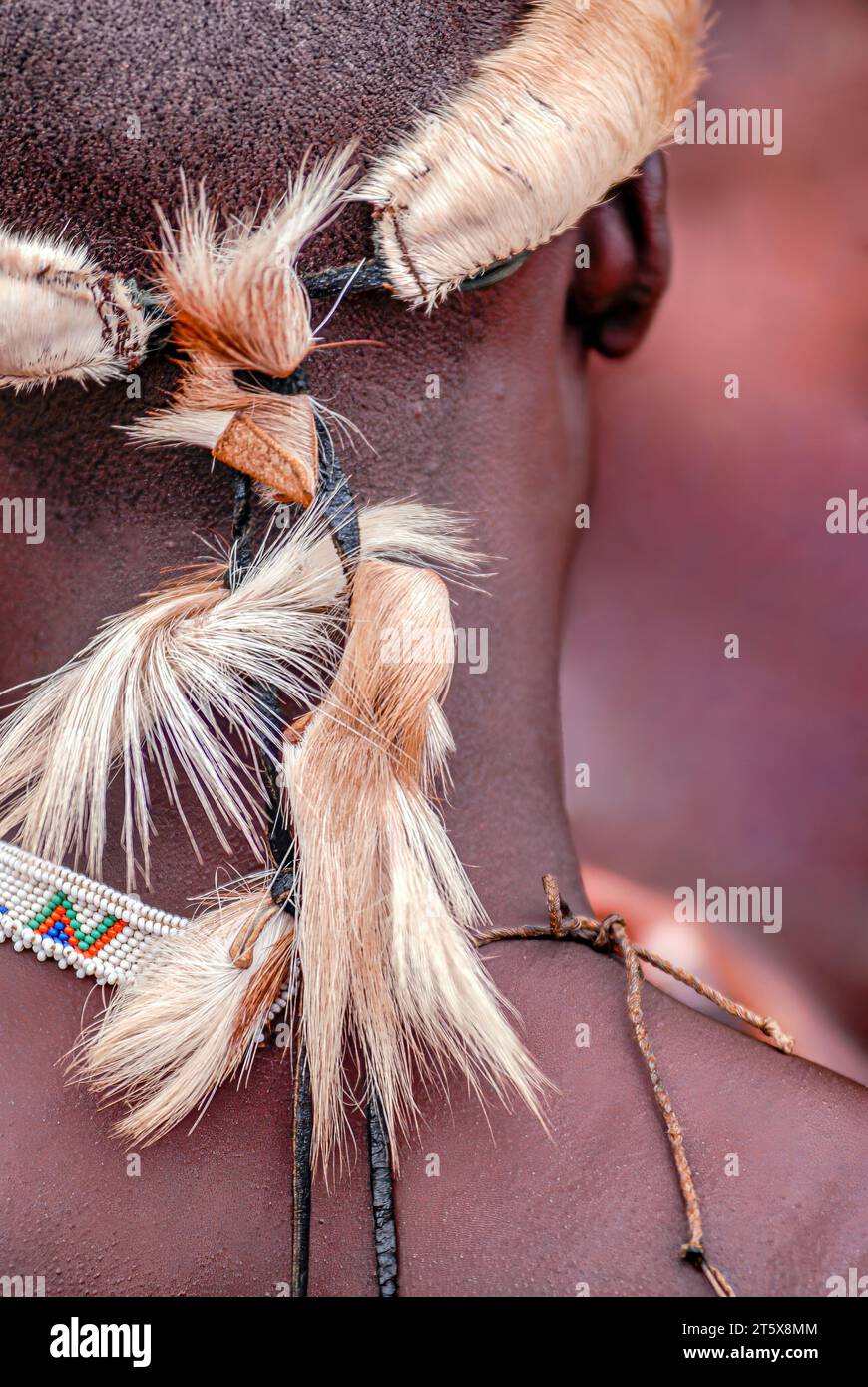 Closeup of a traditional headdress of a male Zulu dancer in Durban ...