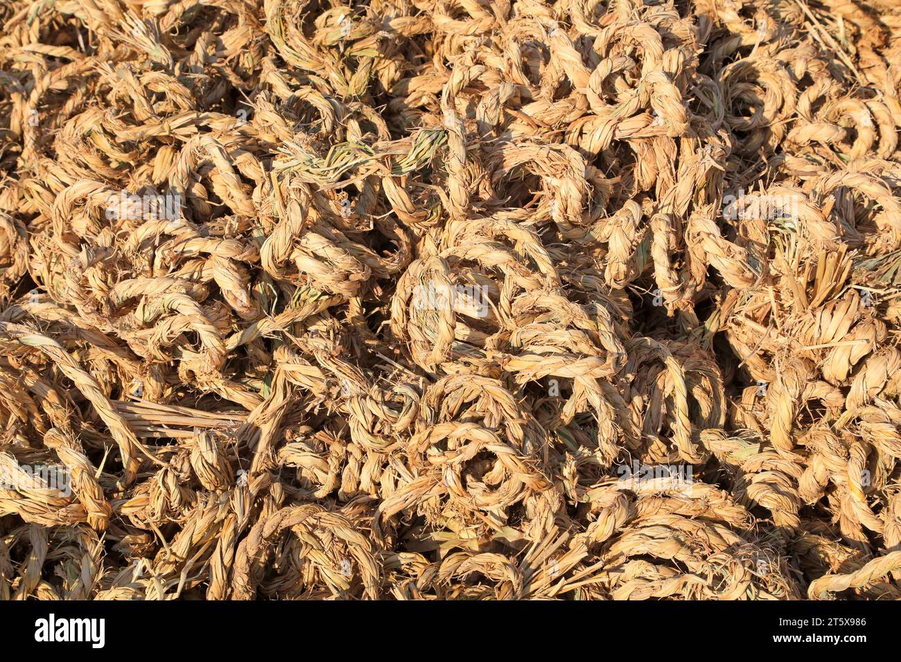 straw ropes stacked together Stock Photo - Alamy