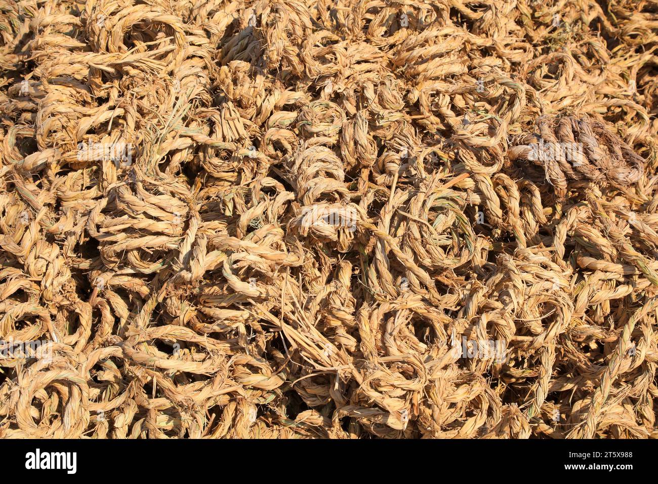 straw ropes stacked together Stock Photo - Alamy