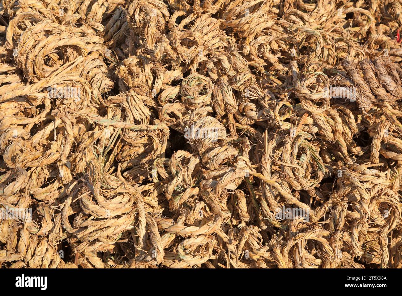 straw ropes stacked together Stock Photo - Alamy