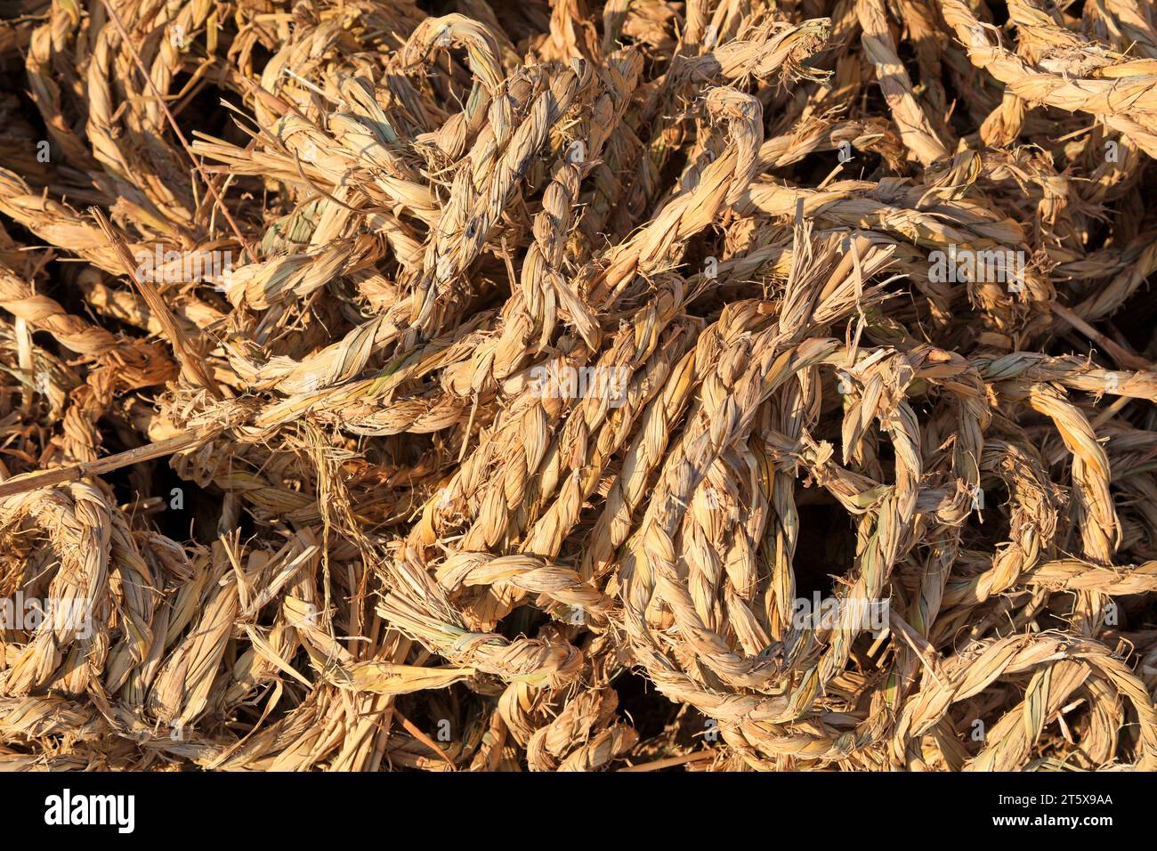 straw ropes stacked together Stock Photo - Alamy