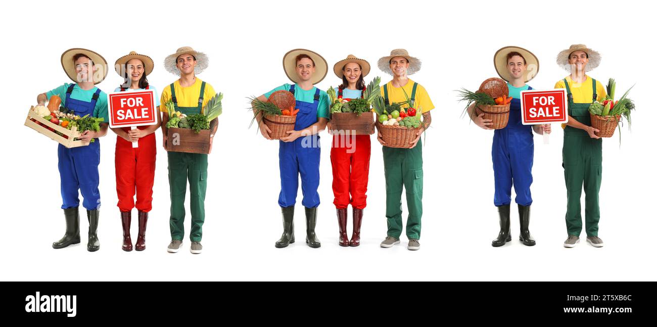 Group of young farmers with harvest on white background Stock Photo - Alamy