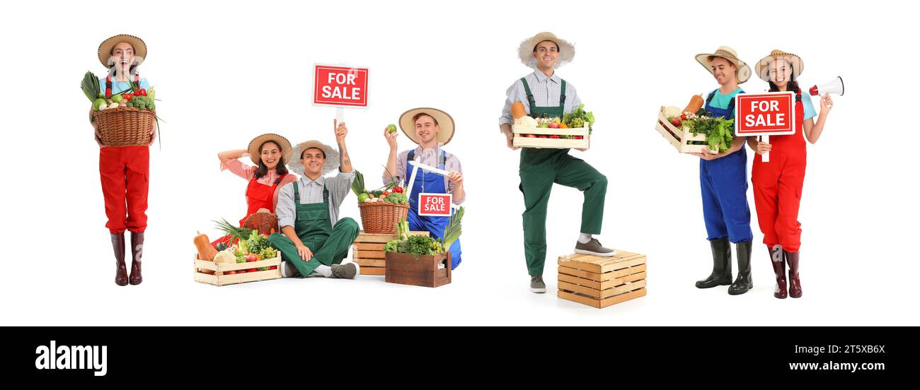 Farmers harvest festival Cut Out Stock Images & Pictures - Alamy