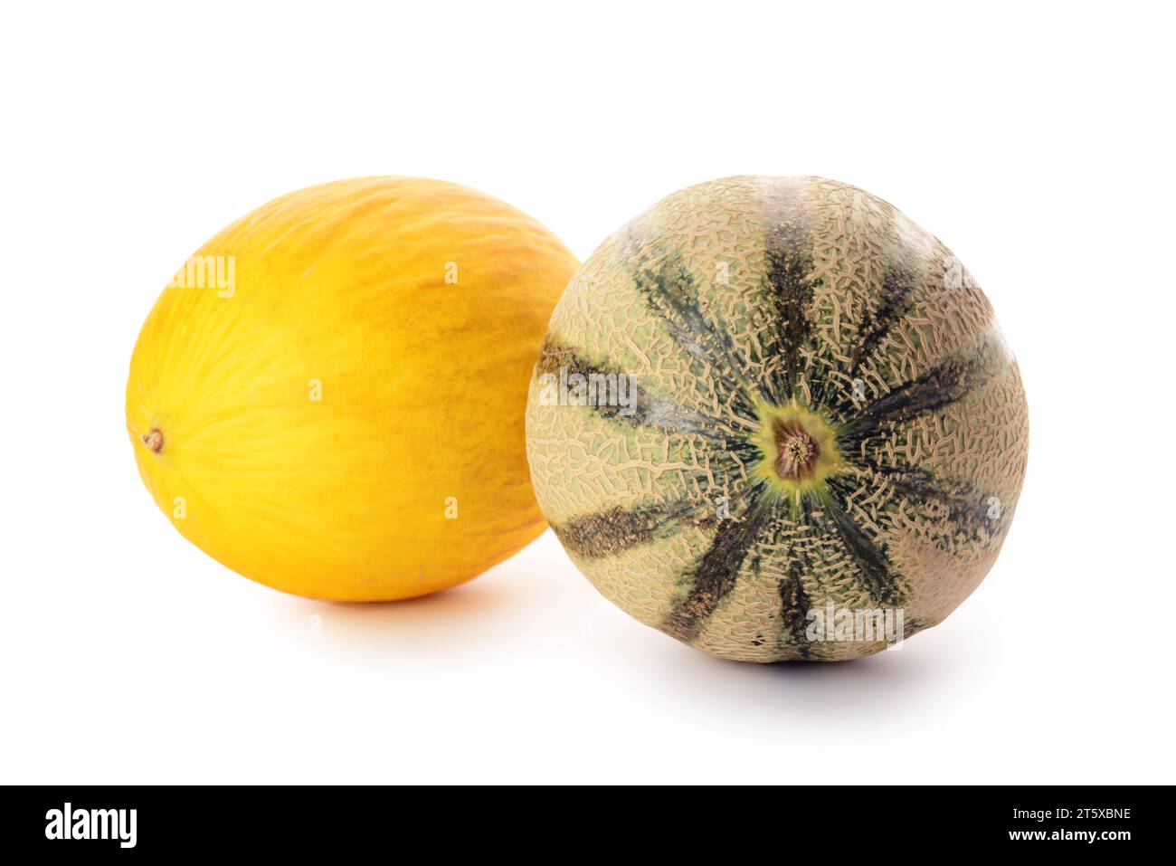 Different sweet melons on Cut Out Stock Images & Pictures - Alamy