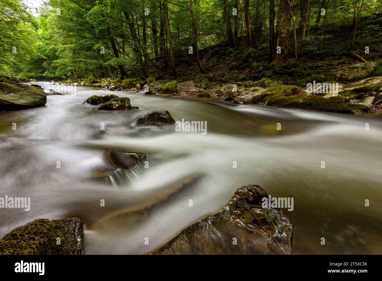 The Schwarza River in Thuringia Stock Photo - Alamy