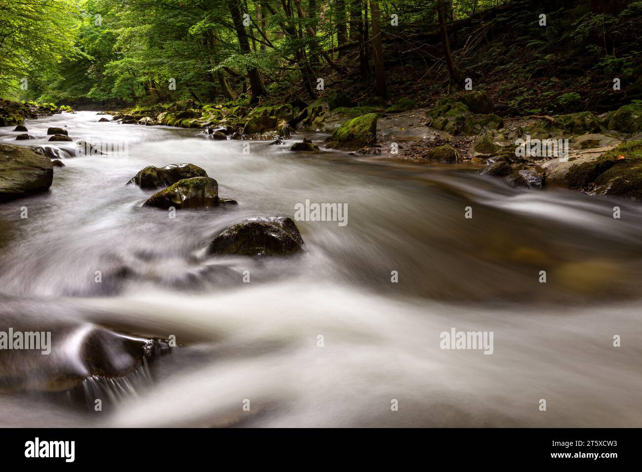 The Schwarza River in Thuringia Stock Photo - Alamy