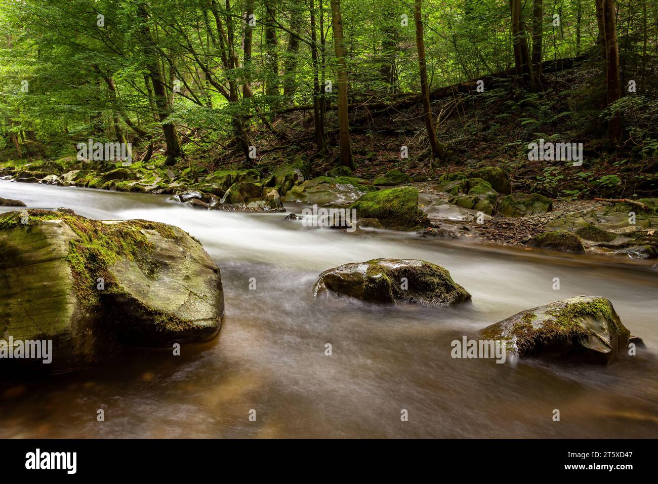 River schwarza thuringia germany hi-res stock photography and images ...
