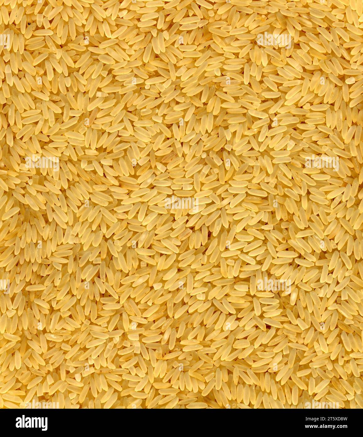Europa, Deutschland, Reis ( Langkornreis ) / Europe, Germany, rice ...