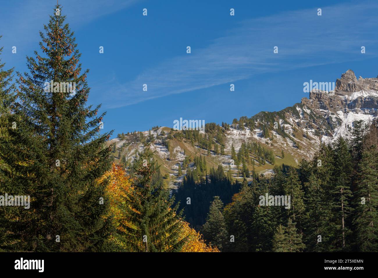 A touristic highlight, colorful autumn season in Engtal or Eng Valley ...