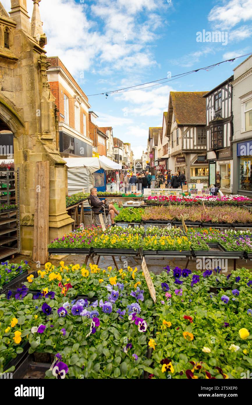 City of salisbury hi-res stock photography and images - Alamy