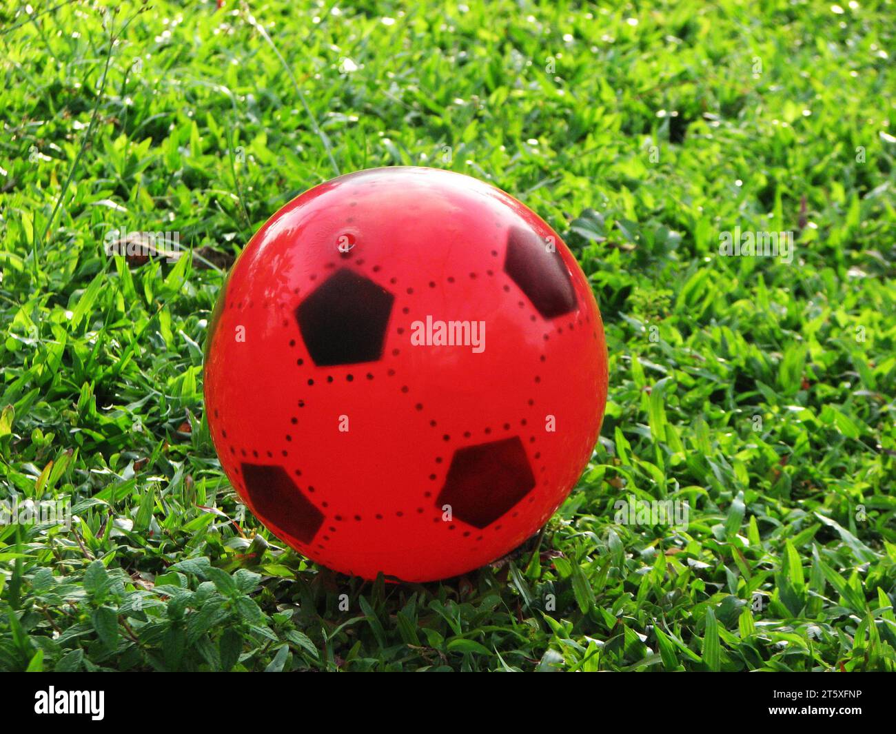 Red ball on grass hi-res stock photography and images - Alamy
