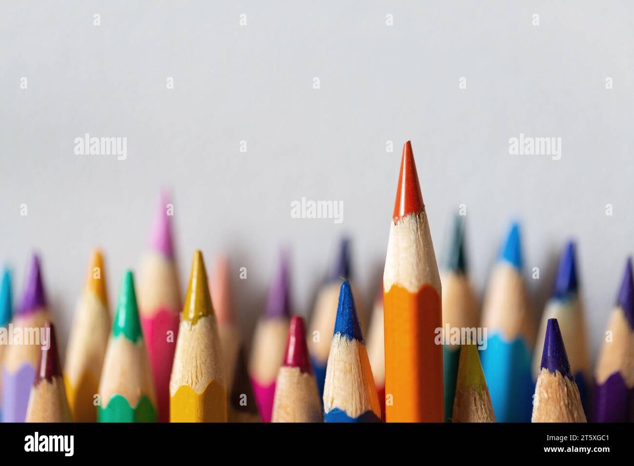 One colorful pencil, crayon standing out from a group of other pencils ...