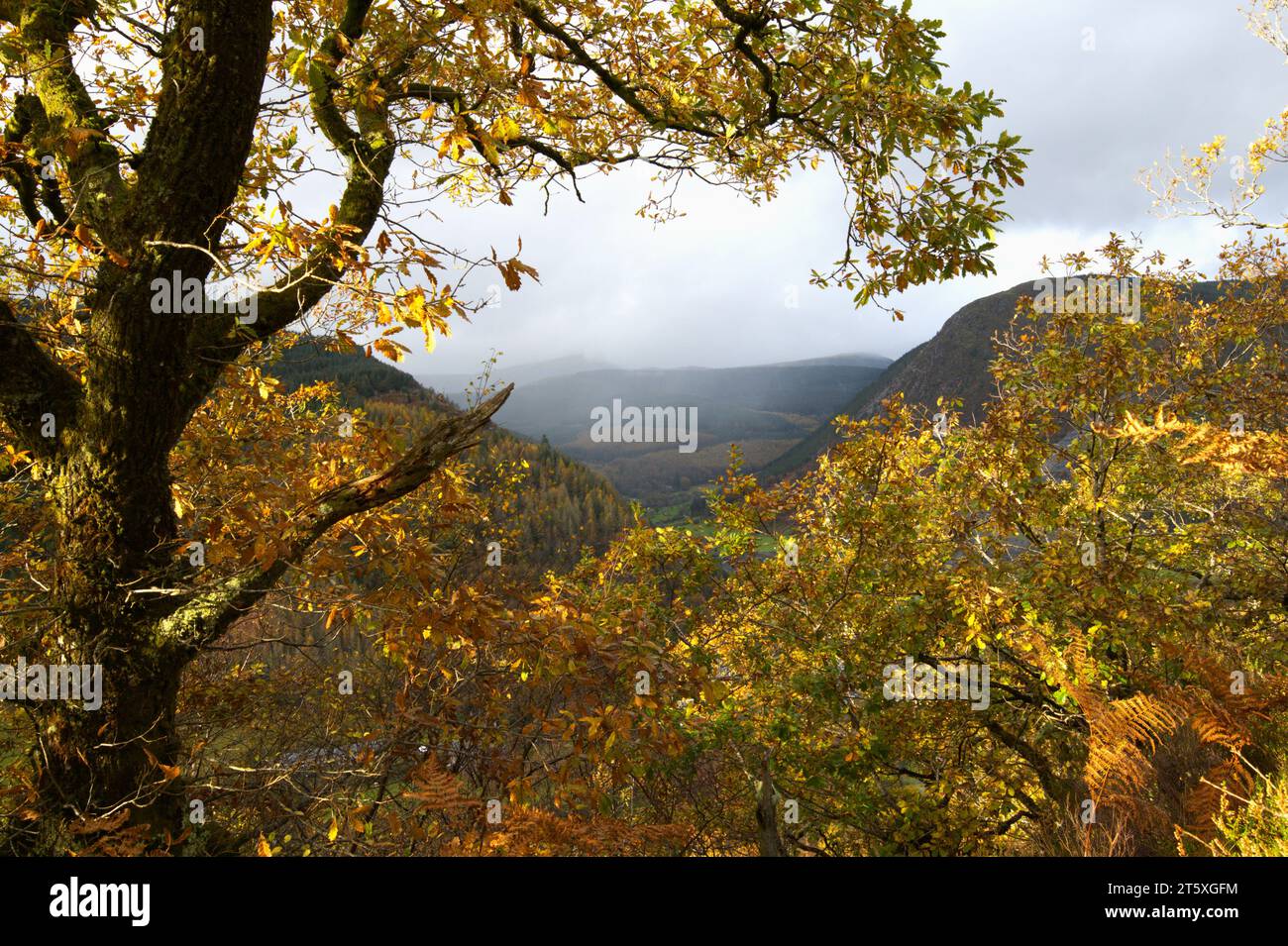 Valley of hen gae hi-res stock photography and images - Alamy