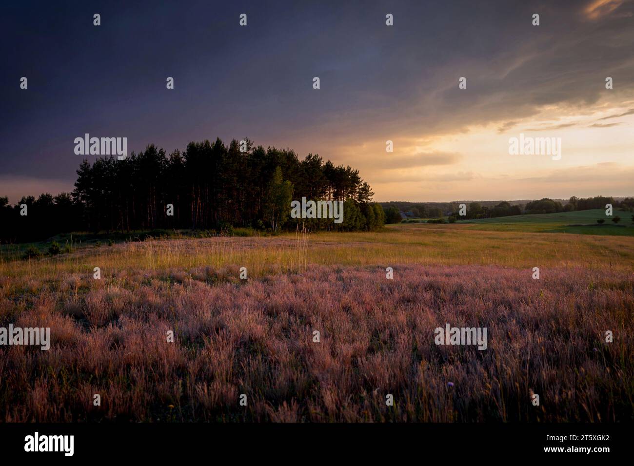 Beautiful sunset over the fields just before the storm Stock Photo - Alamy