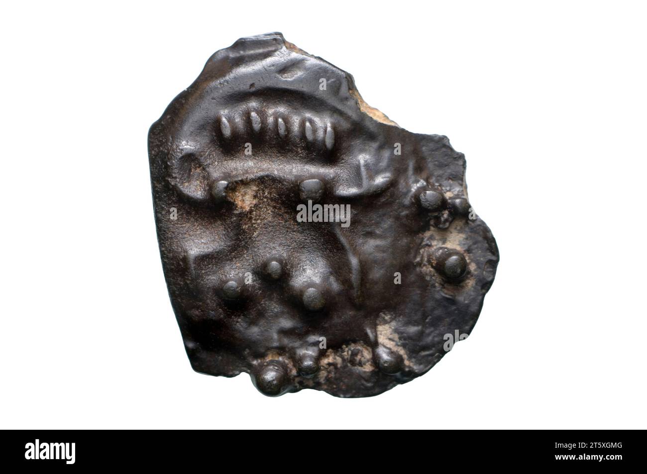 Senones tribe hi-res stock photography and images - Alamy