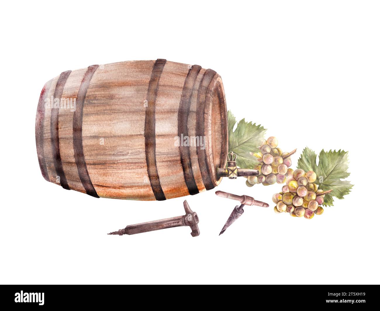 Wine barrel and winemaking accessories, corkscrew, taps, bunches of ...