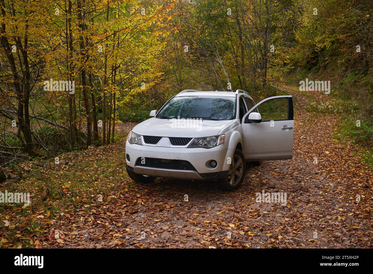 An white SUV car on a road covered in fallen leaves from the forest ...