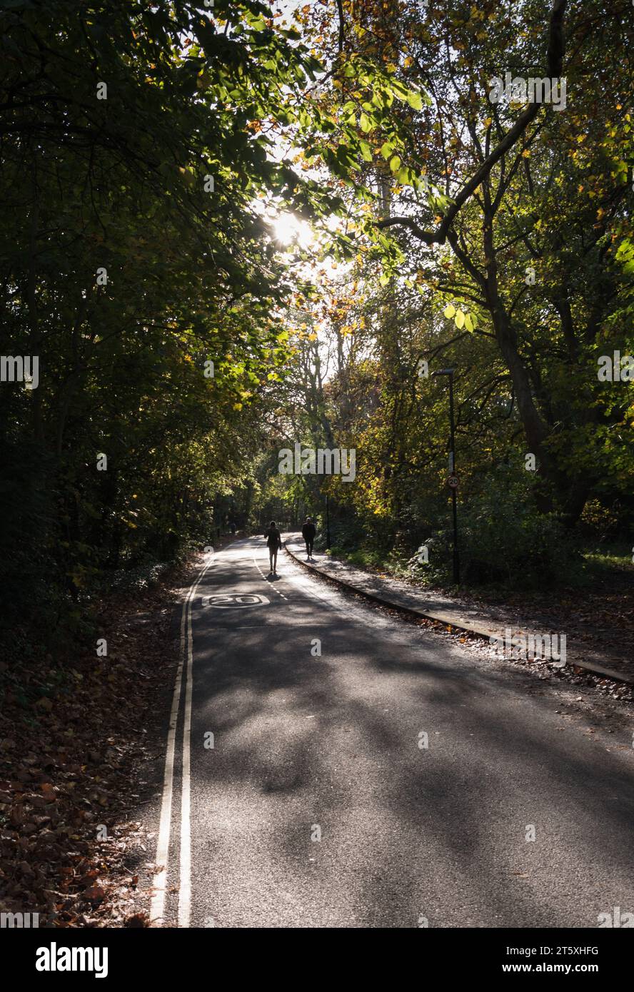 Station Road, a leafy 'country' lane leading up to Barnes Station in ...