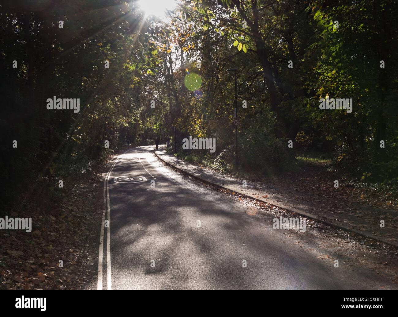 Station Road, a leafy 'country' lane leading up to Barnes Station in ...