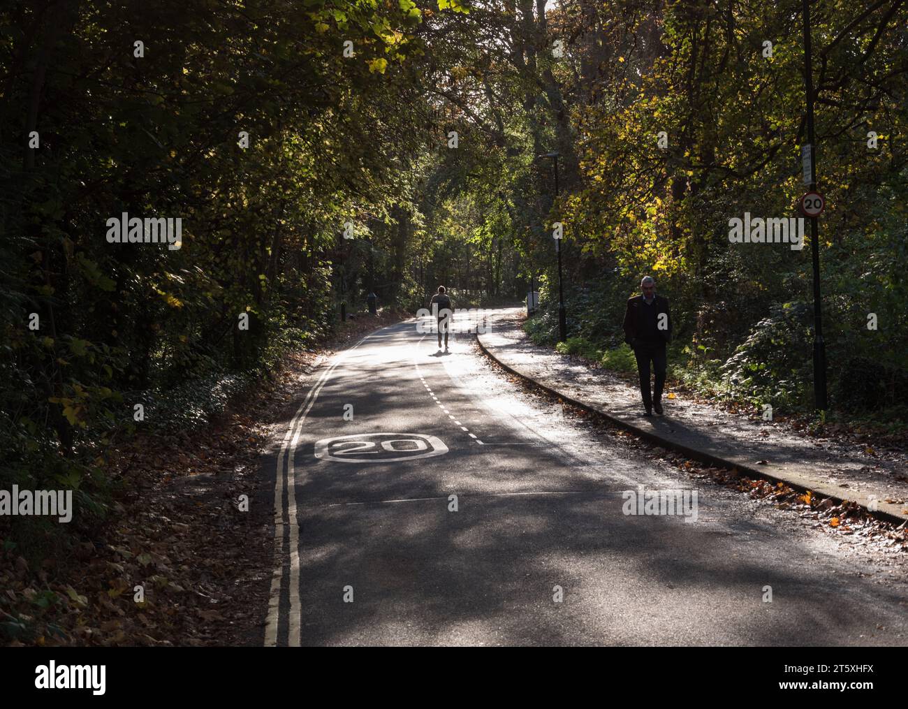 Station Road, a leafy 'country' lane leading up to Barnes Station in ...