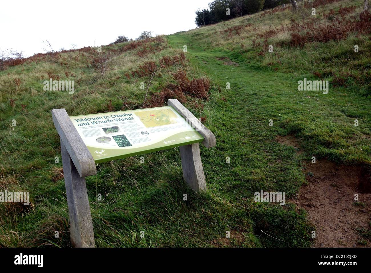 Information board uk woodland hi-res stock photography and images - Alamy
