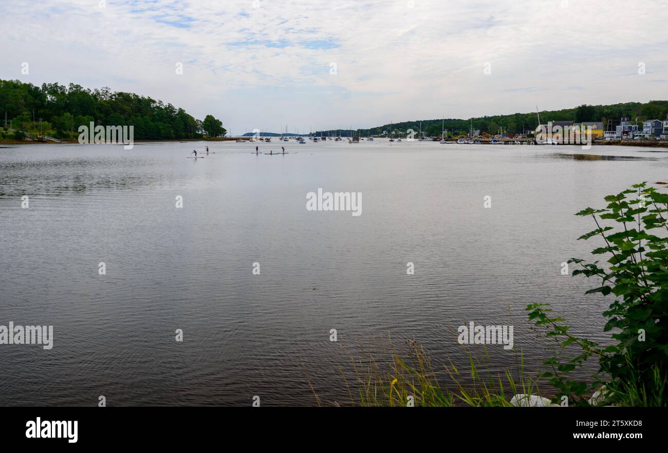 View over a lake against forest Stock Photo - Alamy