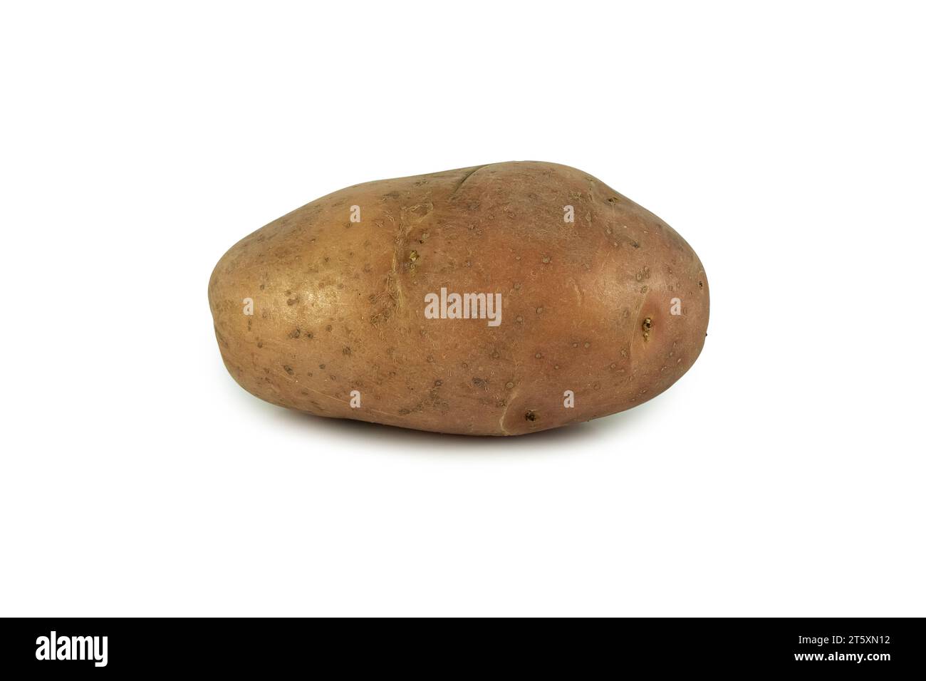Russet Potato with white background Stock Photo - Alamy