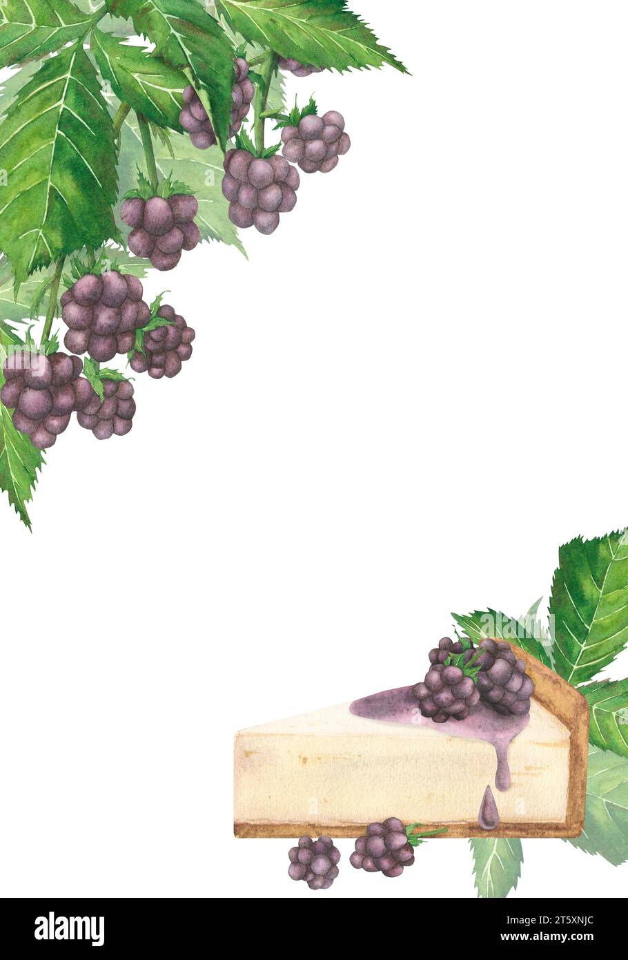 Watercolor frame with blackberry cheesecake, blackberry twigs and green ...