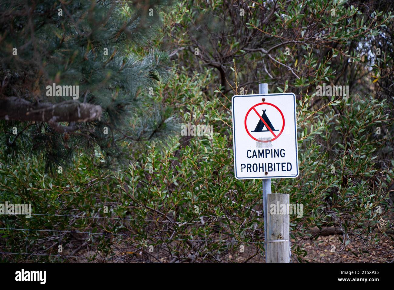 no camping sign in australia in the bush Stock Photo - Alamy