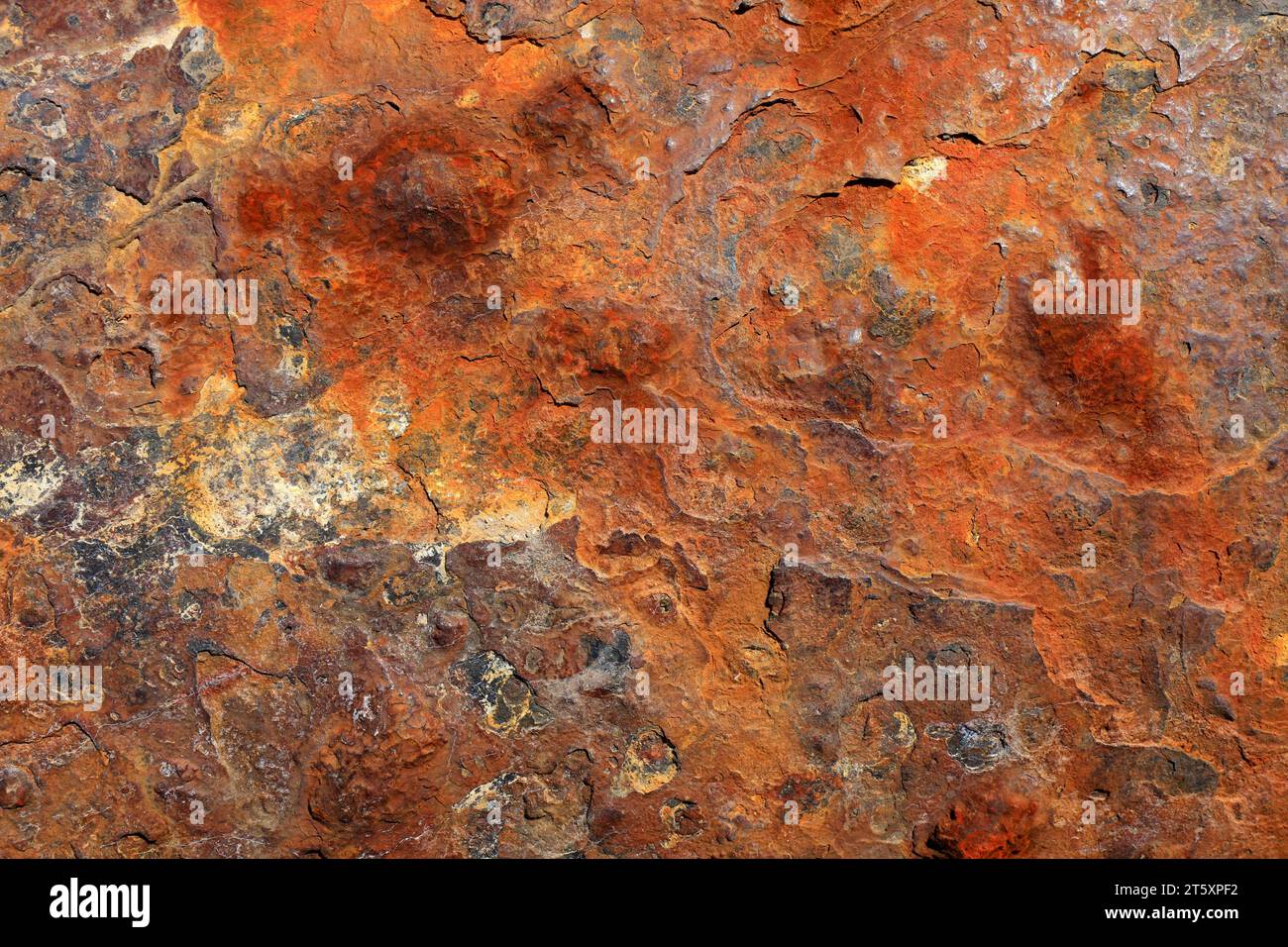 Irregular mottled hi-res stock photography and images - Alamy