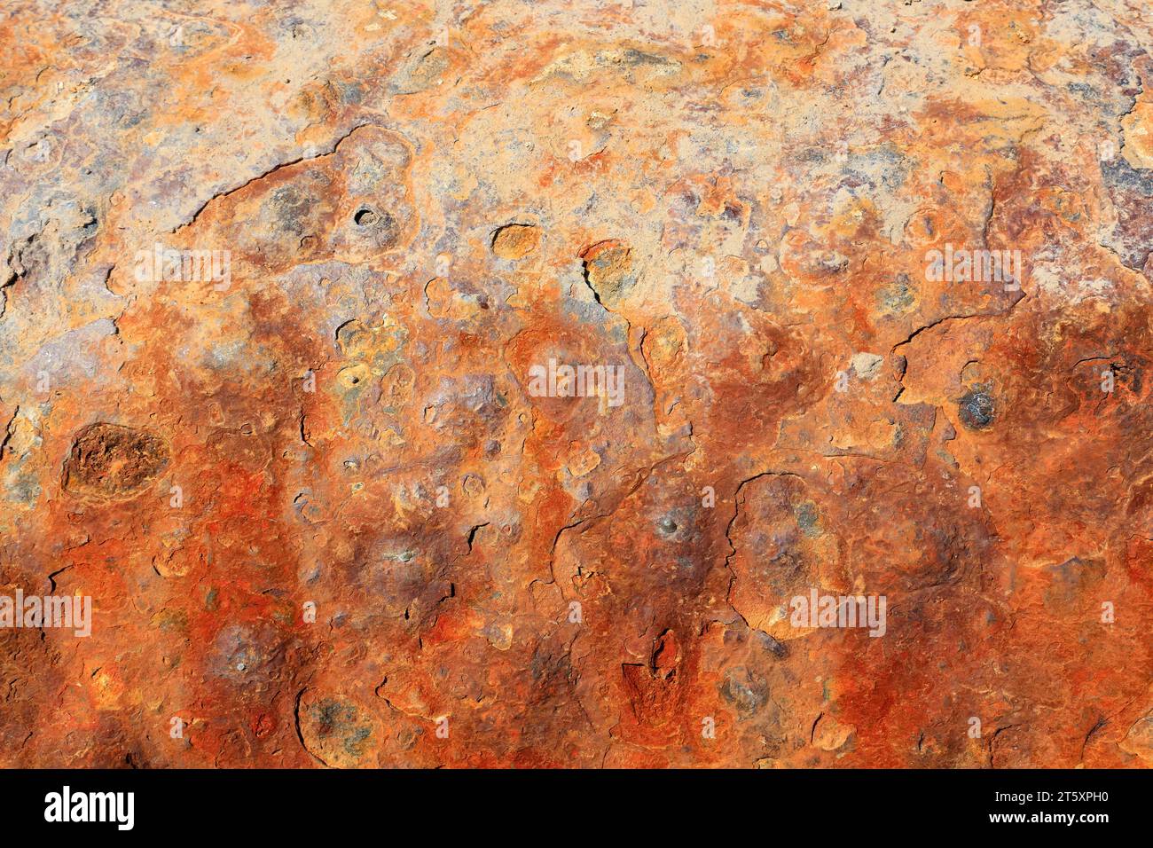 Mottled rust, closeup of photo Stock Photo - Alamy