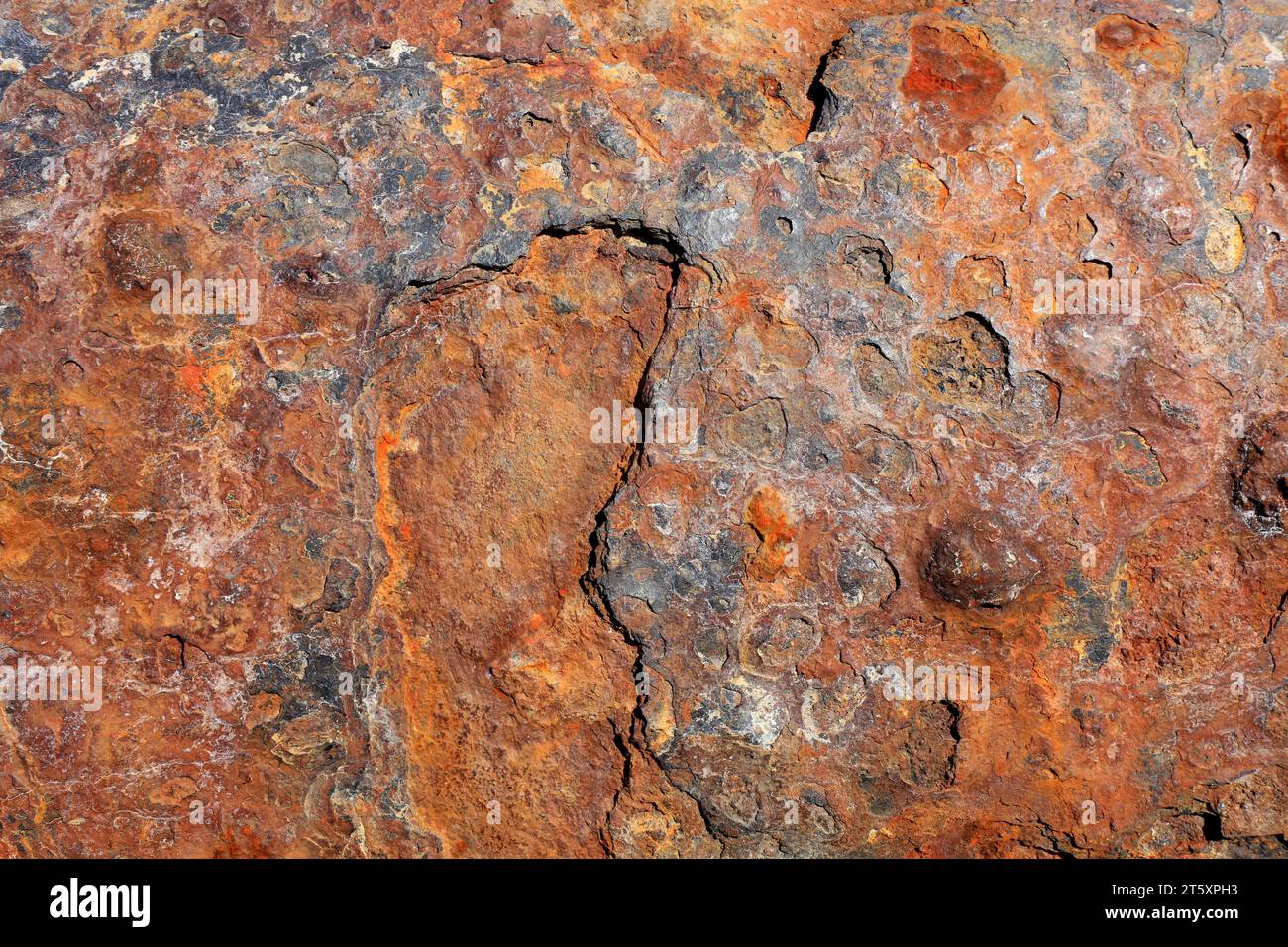 Irregular mottled hi-res stock photography and images - Alamy