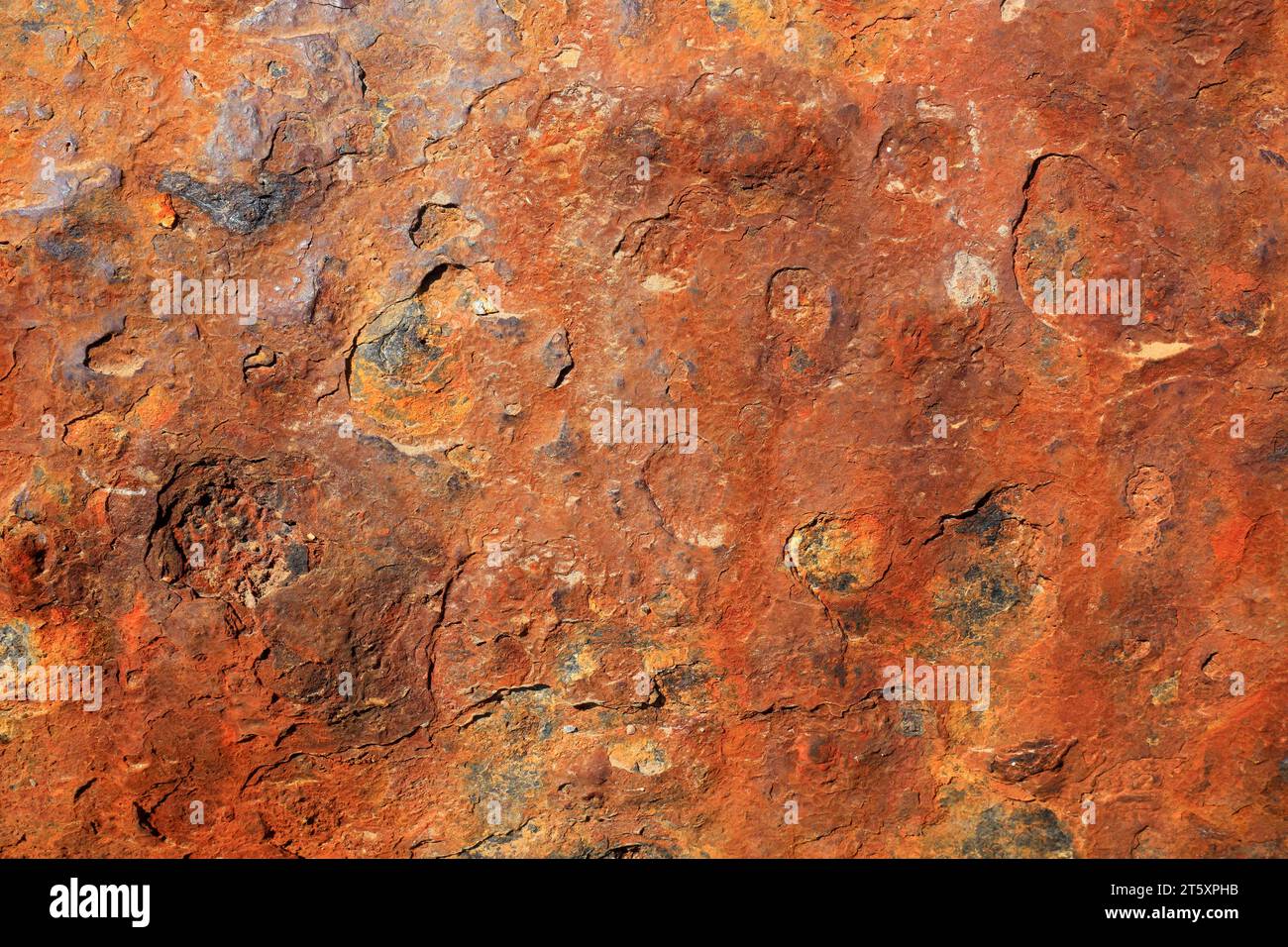 Irregular mottled hi-res stock photography and images - Alamy