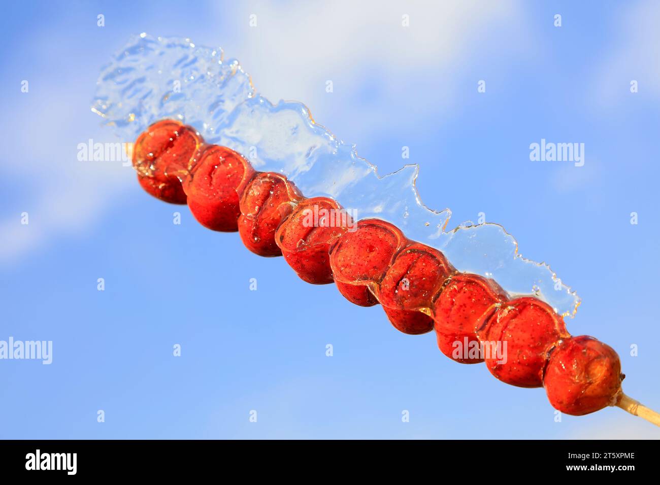 Gourd sky hi-res stock photography and images - Alamy