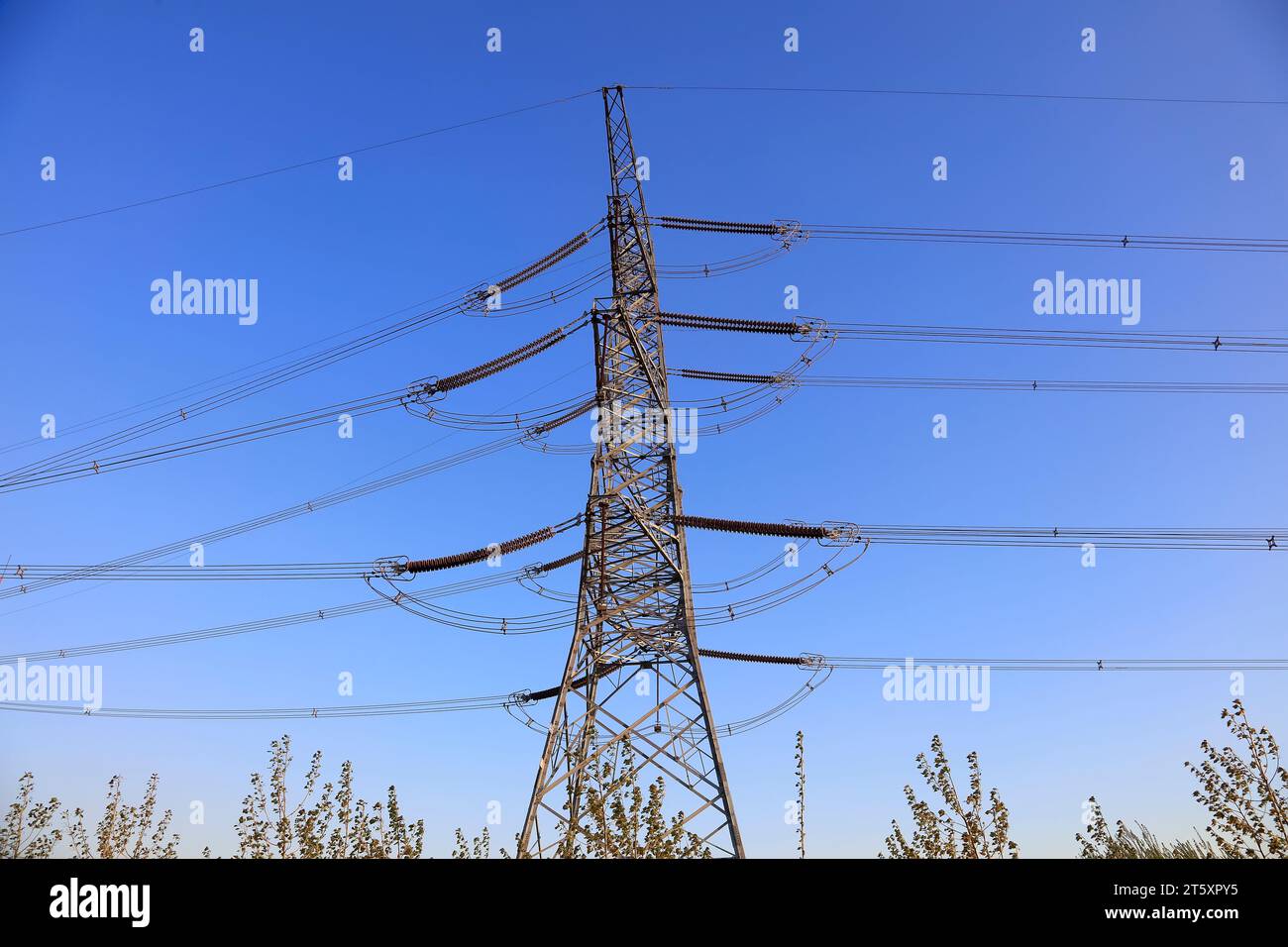 Electric power tower in blue sky Stock Photo - Alamy