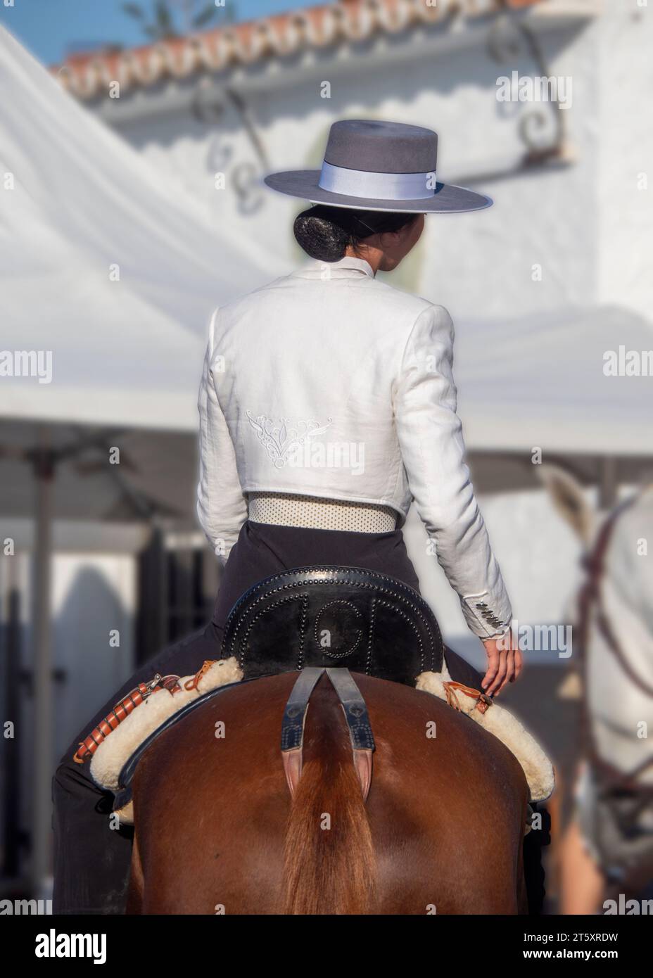 Groups of horse riders dressed in typical Andalusian costume, riding ...