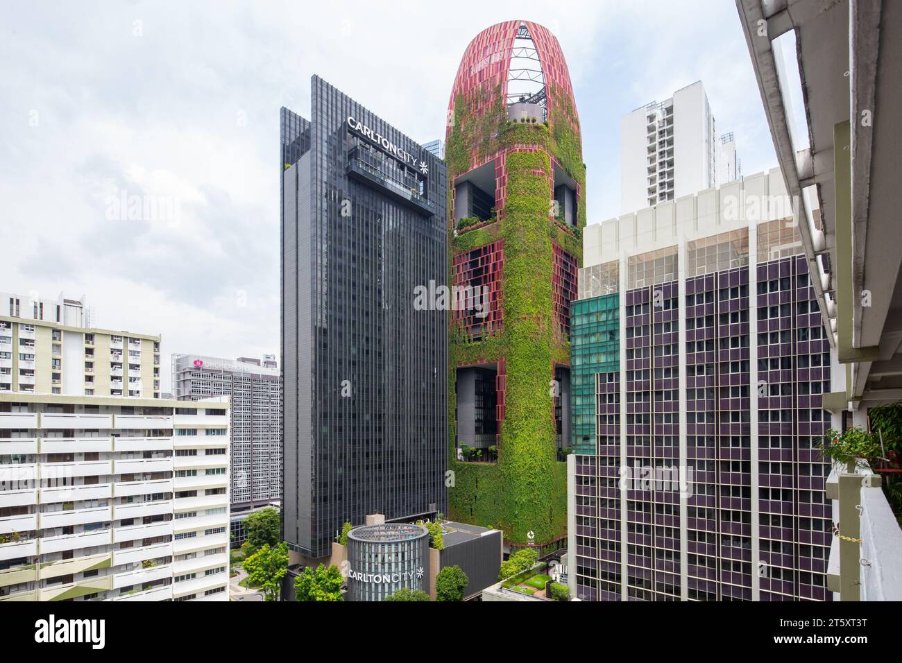 Oasis Hotel Downtown is a positive design example where man and nature ...