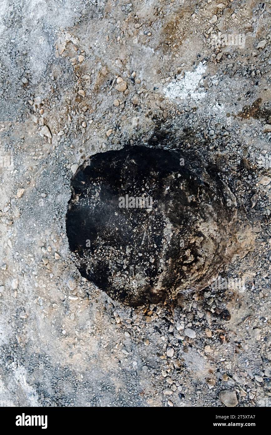 Palm treeagriculture hi-res stock photography and images - Alamy