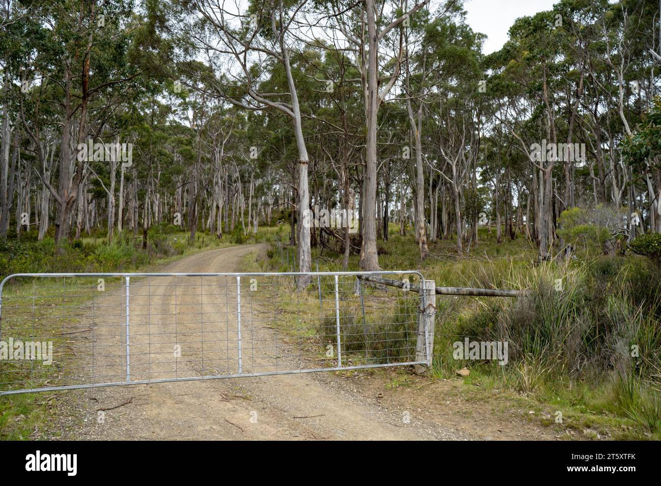Gate farmgate hi-res stock photography and images - Alamy