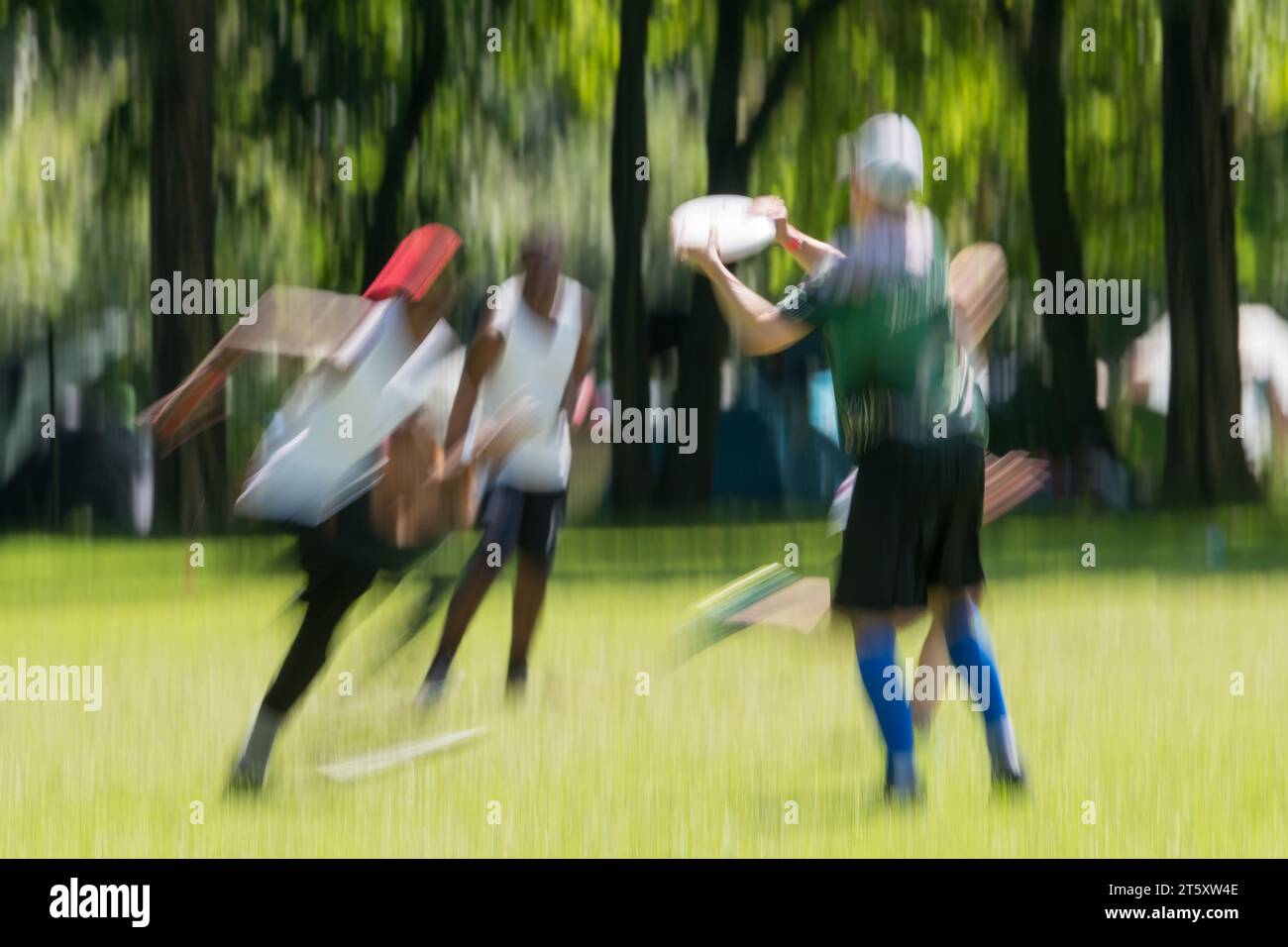 Rheinwerfen Ultimate Frisbee Turnier in Bad Honnef, Deutschland am 06.08.2017 Stock Photo - Alamy