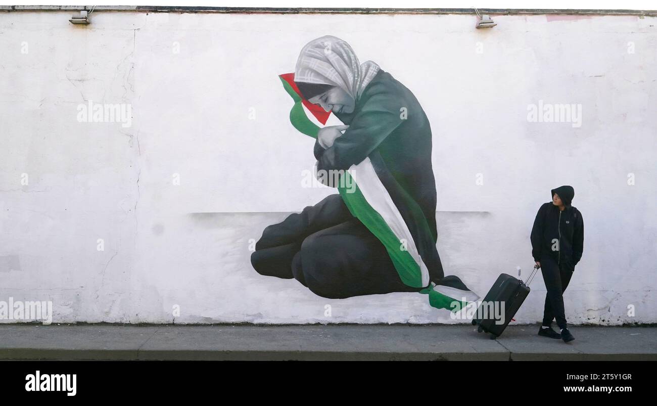 A man looks at a pro-Palestine mural by the artist Emmalene Blake in ...