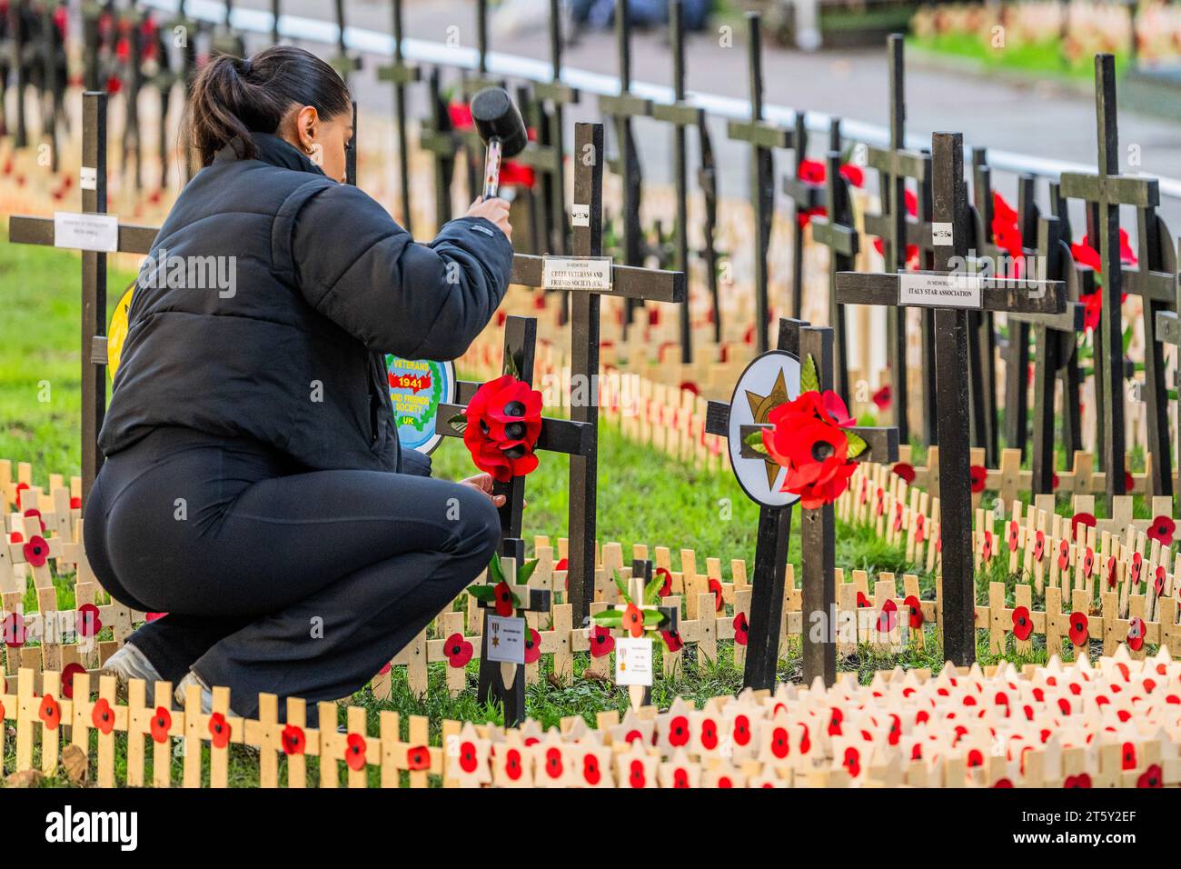 London, UK. 7th Nov, 2023. Crosses with poppies on are laid, by Poppy ...