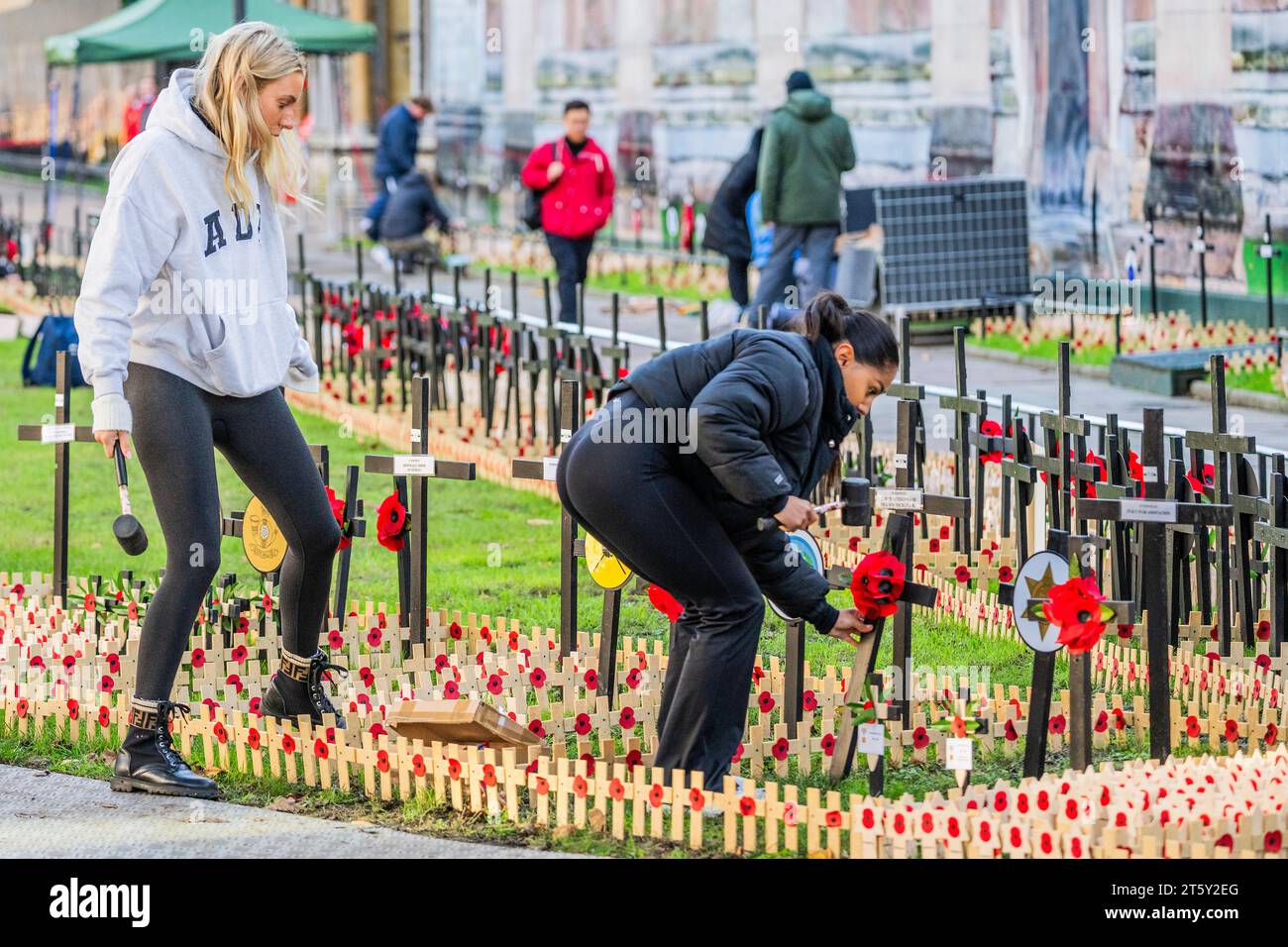 London, UK. 7th Nov, 2023. Crosses with poppies on are laid, by Poppy ...
